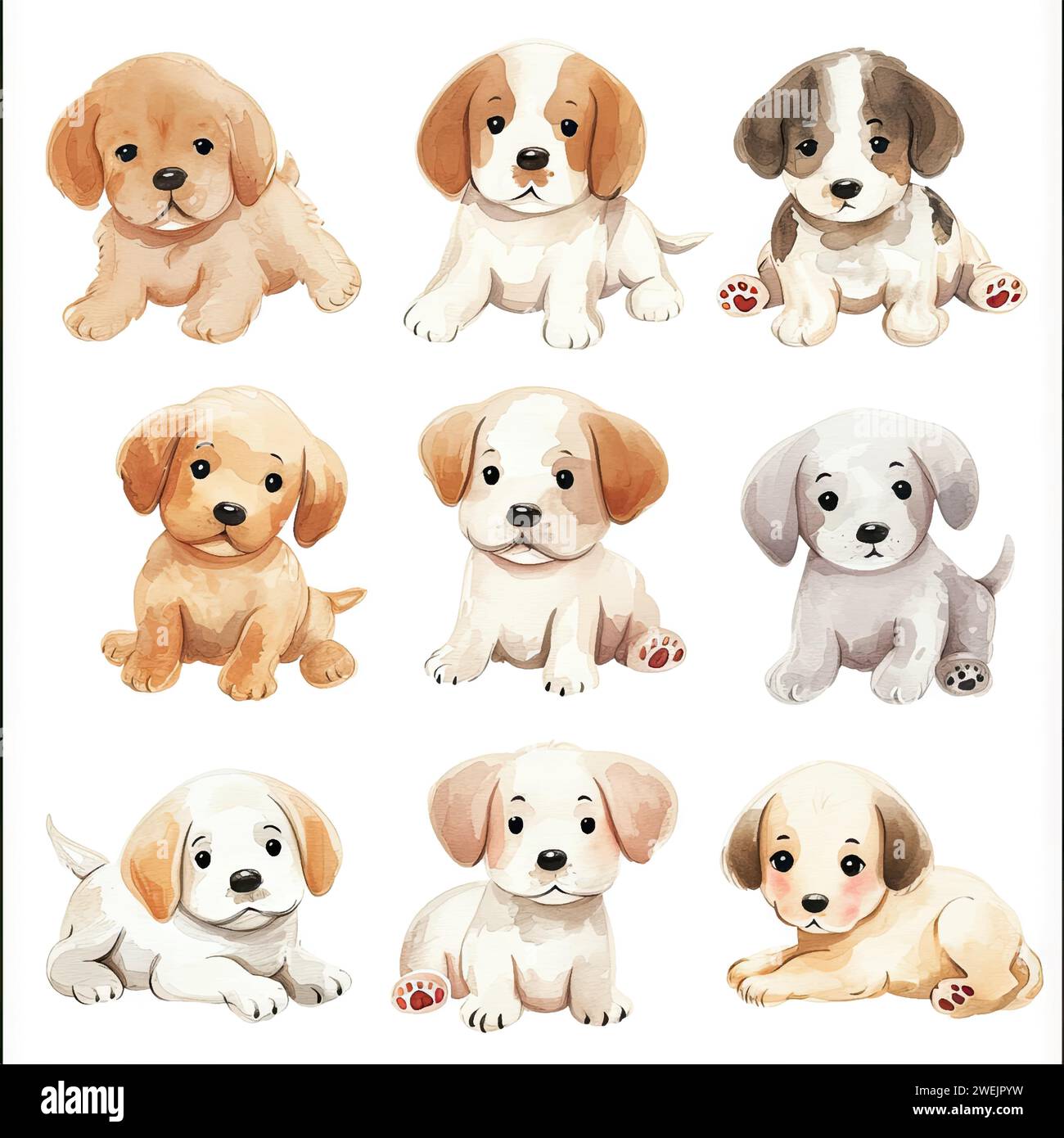 Vector hand drawn puppy collection Stock Vector Image & Art - Alamy