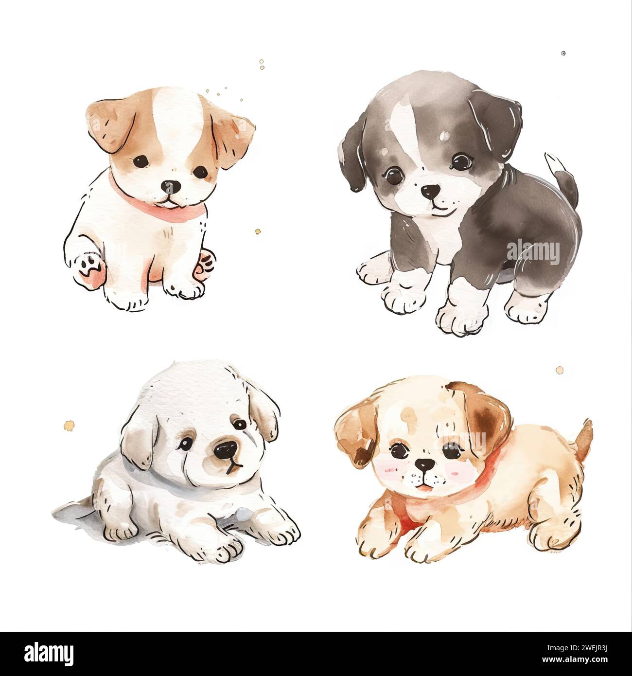 Vector hand drawn puppy collection Stock Vector Image & Art - Alamy