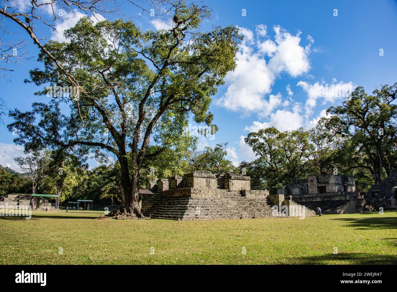 View of the Ball Court at the Copan Mayan Ruins, Copan Ruinas, Honduras ...