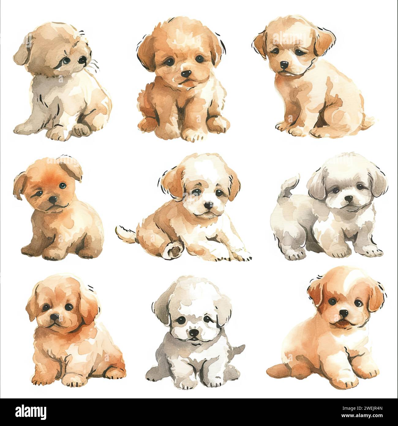 Vector hand drawn puppy collection Stock Vector Image & Art - Alamy