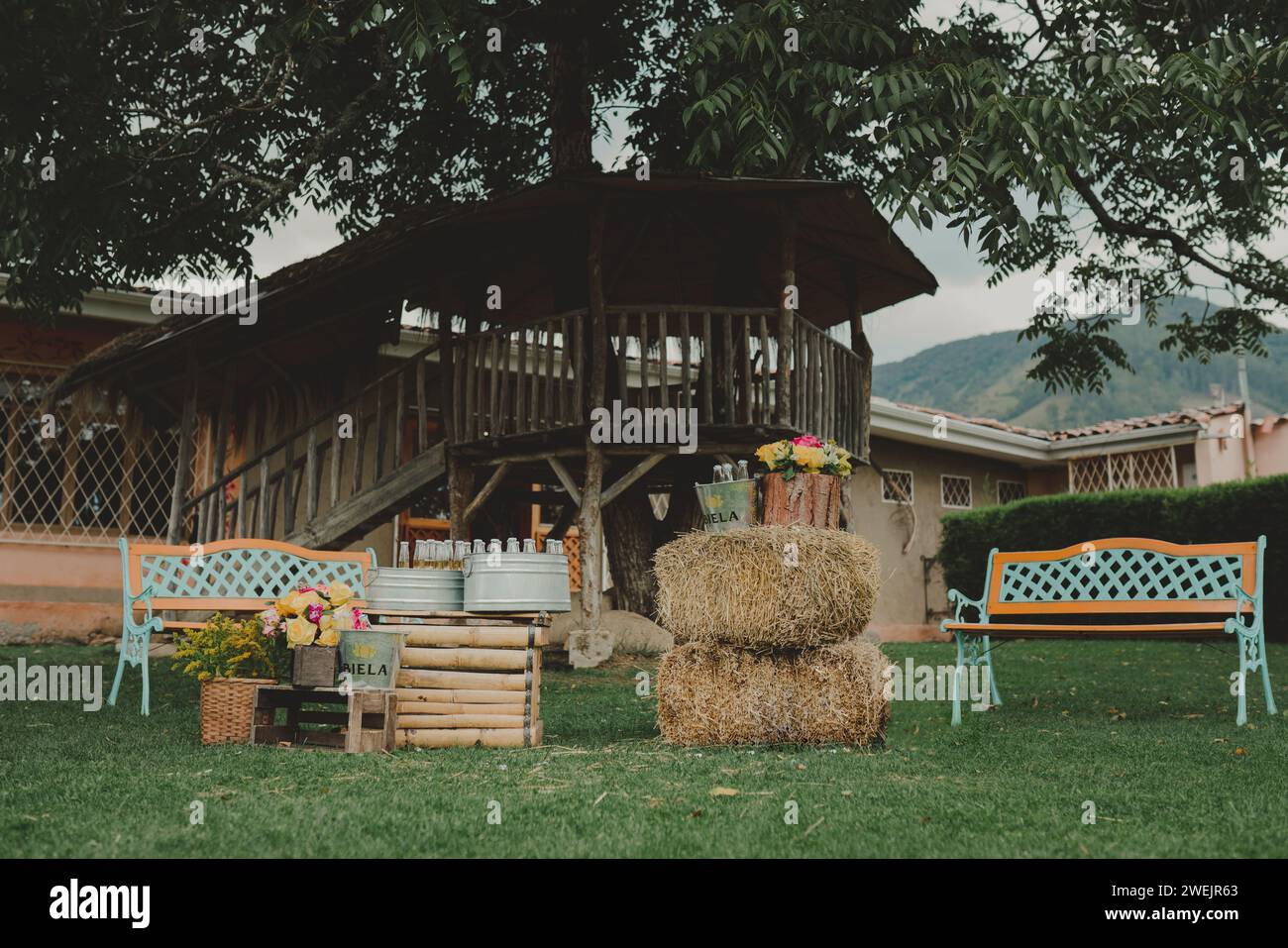 Two chairs with a stack on top, placed on lush green grass Stock Photo ...