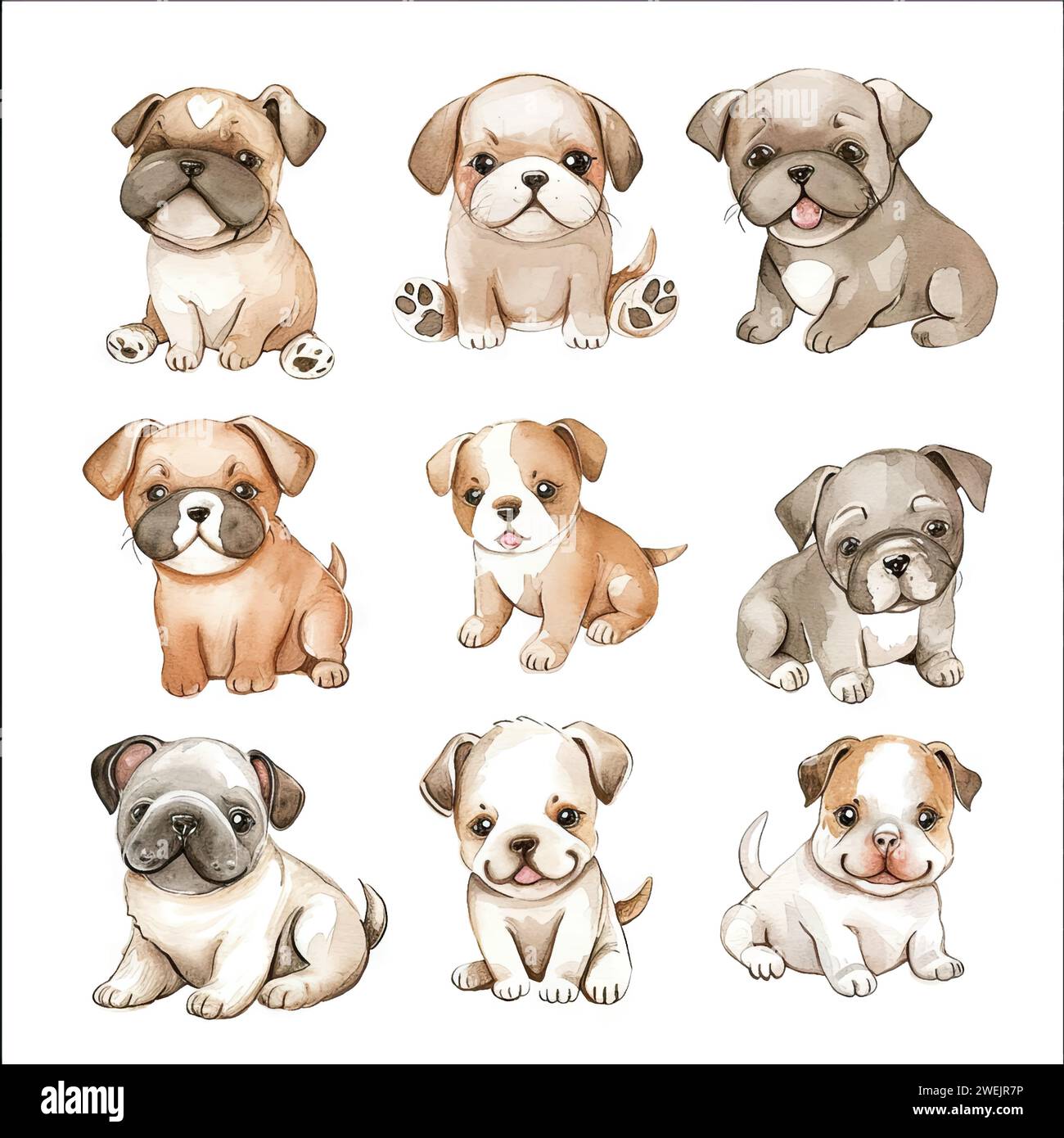 Vector hand drawn puppy collection Stock Vector Image & Art - Alamy