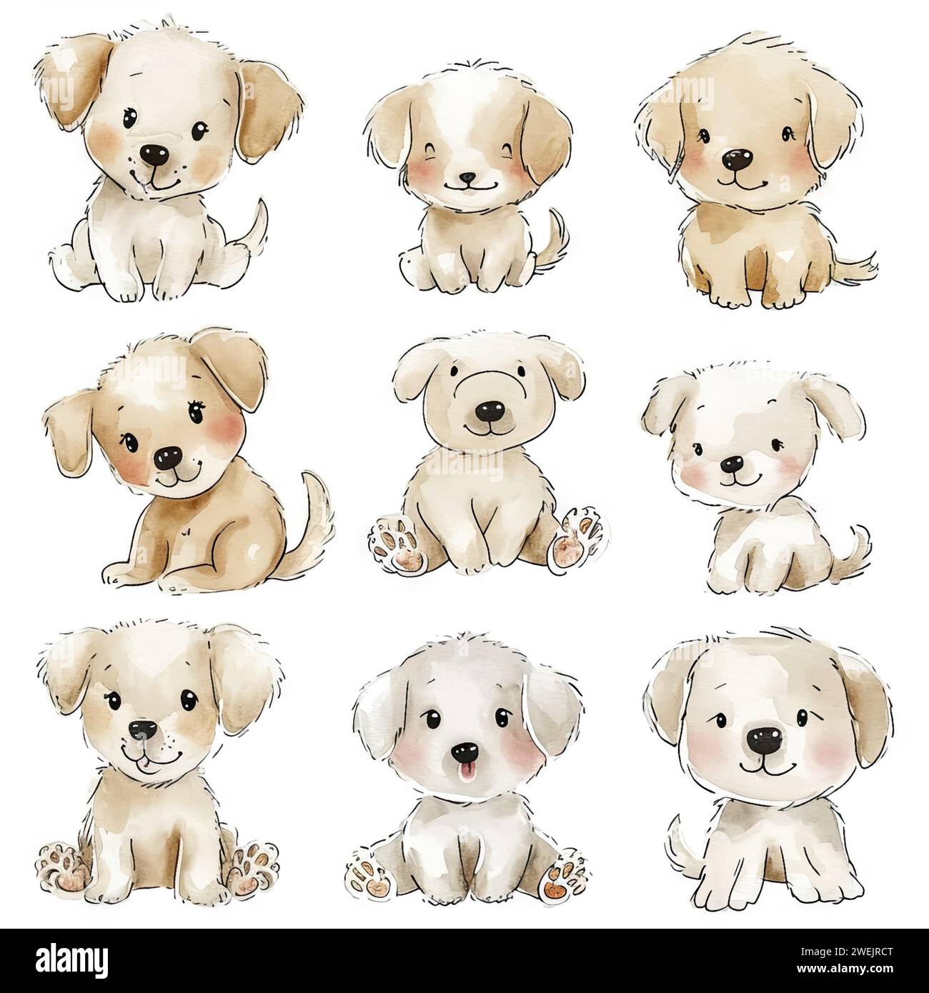 Vector hand drawn puppy collection Stock Vector Image & Art - Alamy
