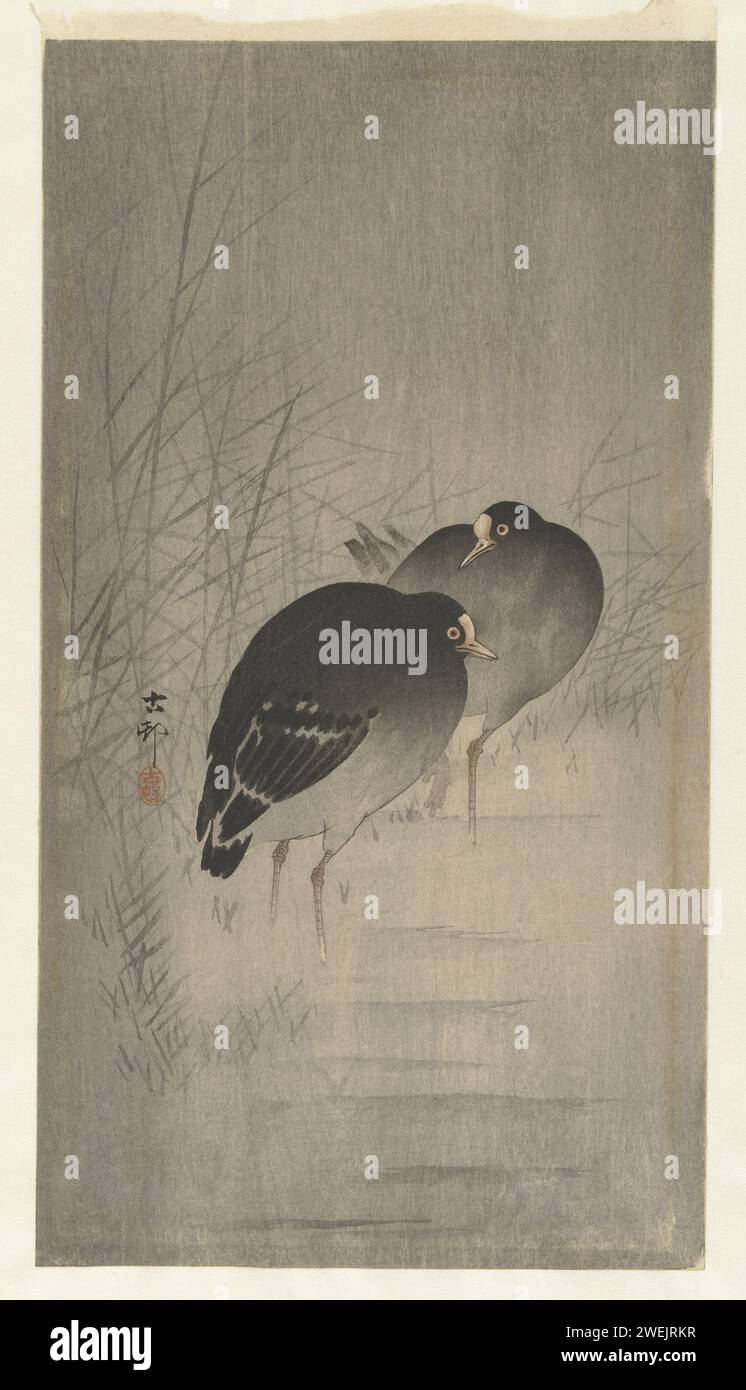 Waterhoertjes between Riet, Ohara Koson, 1900 - 1930 print Two water ...
