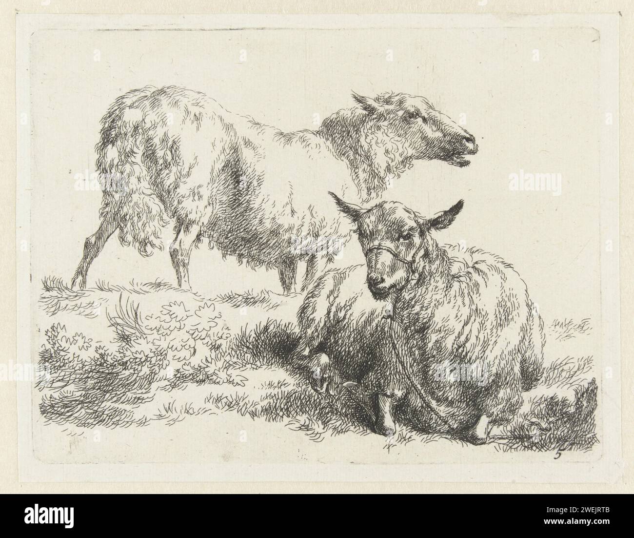 Lying sheep with halter and standing sheep, Nicolaes Pietersz Berchem ...