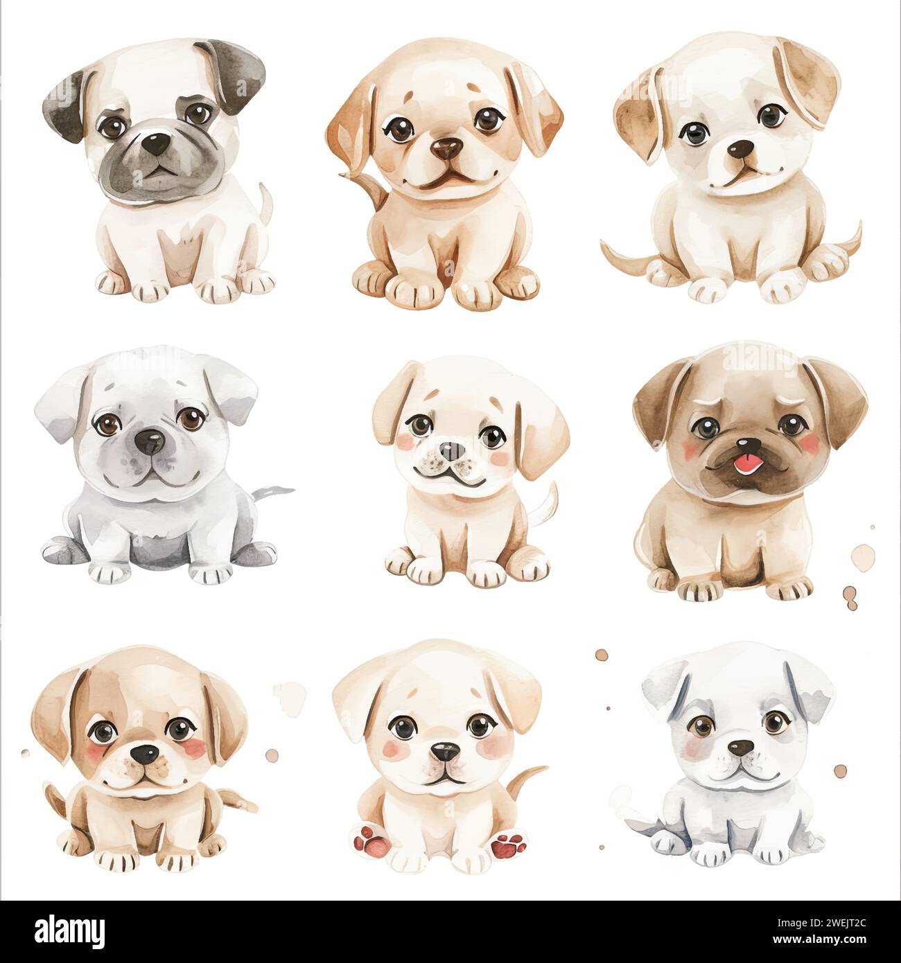 Vector hand drawn puppy collection Stock Vector Image & Art - Alamy