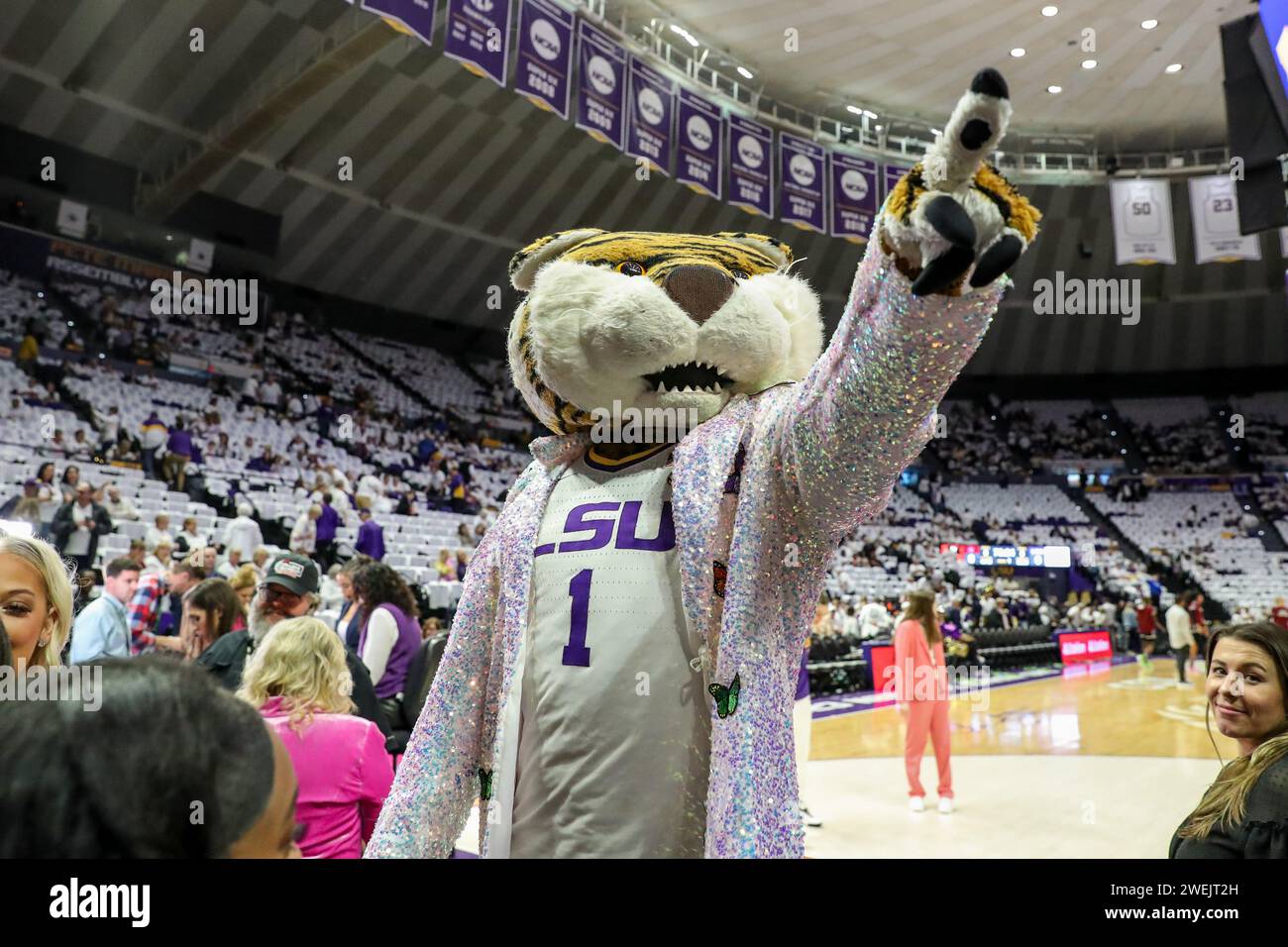 Baton Rouge, LA, USA. 25th Jan, 2024. LSU's mascot Mike the Tiger ...
