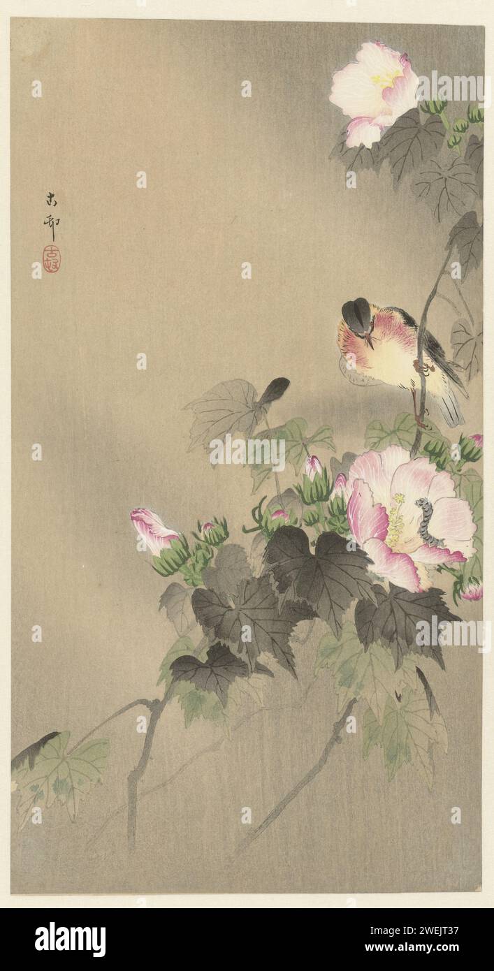 Vogel en Rups, 1900 - 1930 print Bird on branch with pink flowers ...