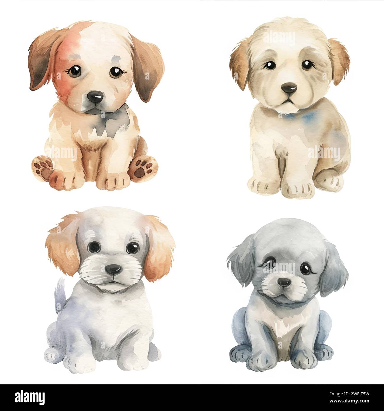Vector hand drawn puppy collection Stock Vector Image & Art - Alamy