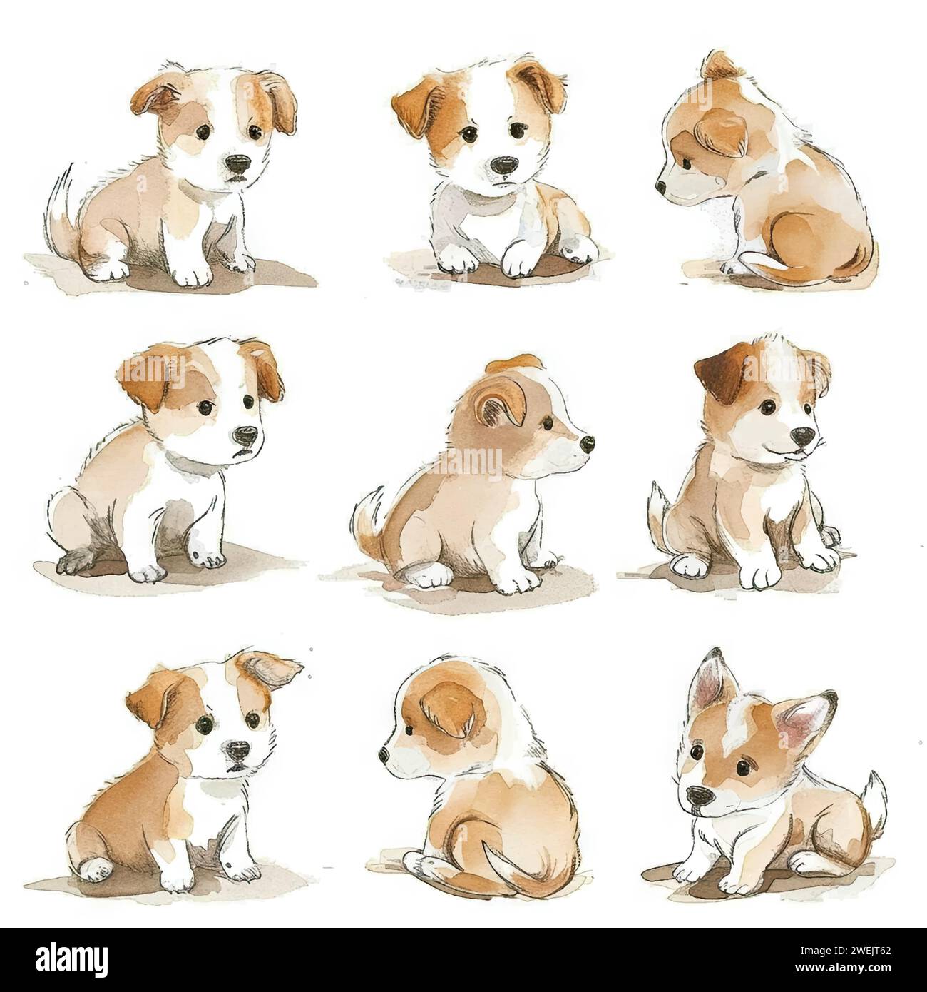 Vector hand drawn puppy collection Stock Vector Image & Art - Alamy