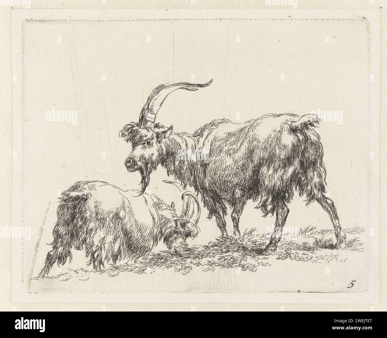 Two goats or goats, Nicolaes Pietersz Berchem, 1648 - 1652 print paper ...