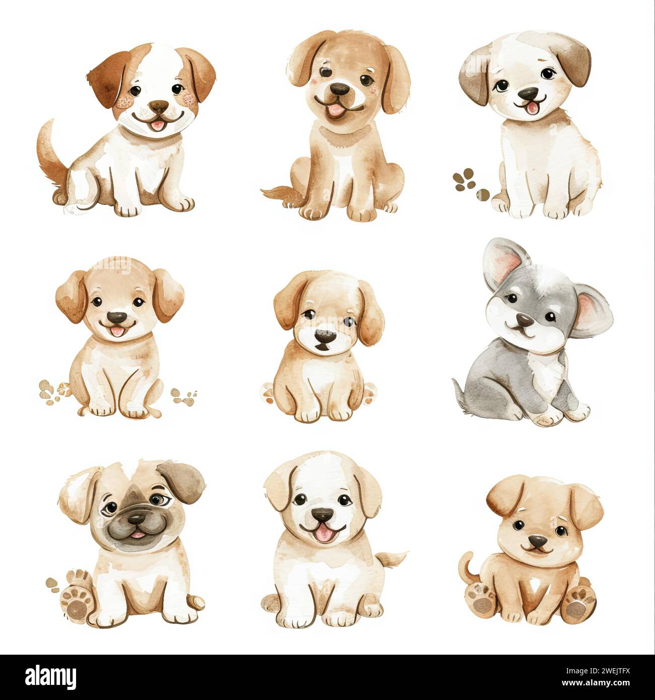 Vector hand drawn puppy collection Stock Vector Image & Art - Alamy
