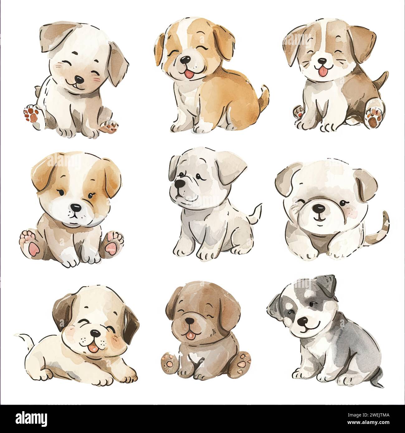 Vector hand drawn puppy collection Stock Vector Image & Art - Alamy
