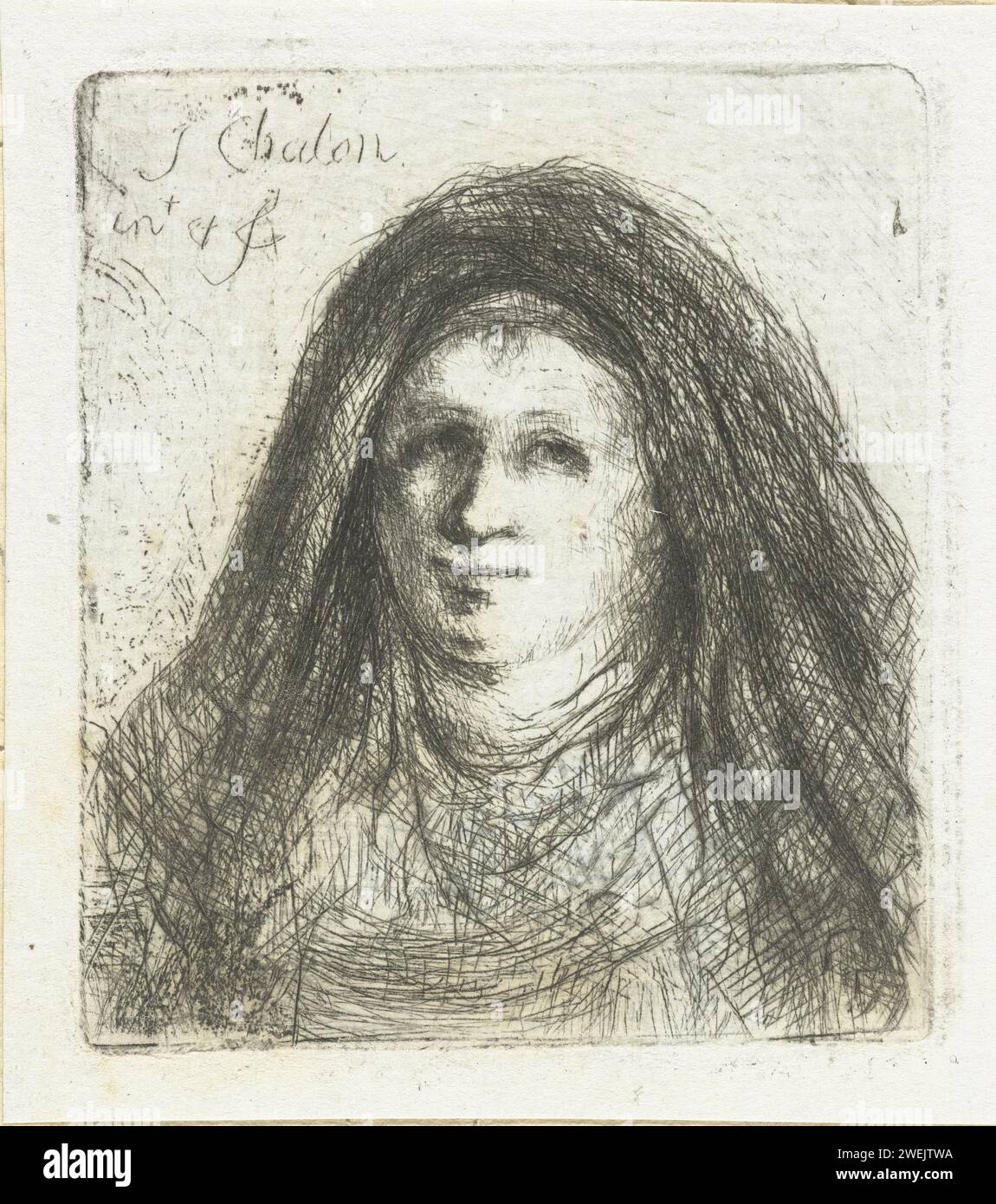 Morphology of a woman hi-res stock photography and images - Alamy