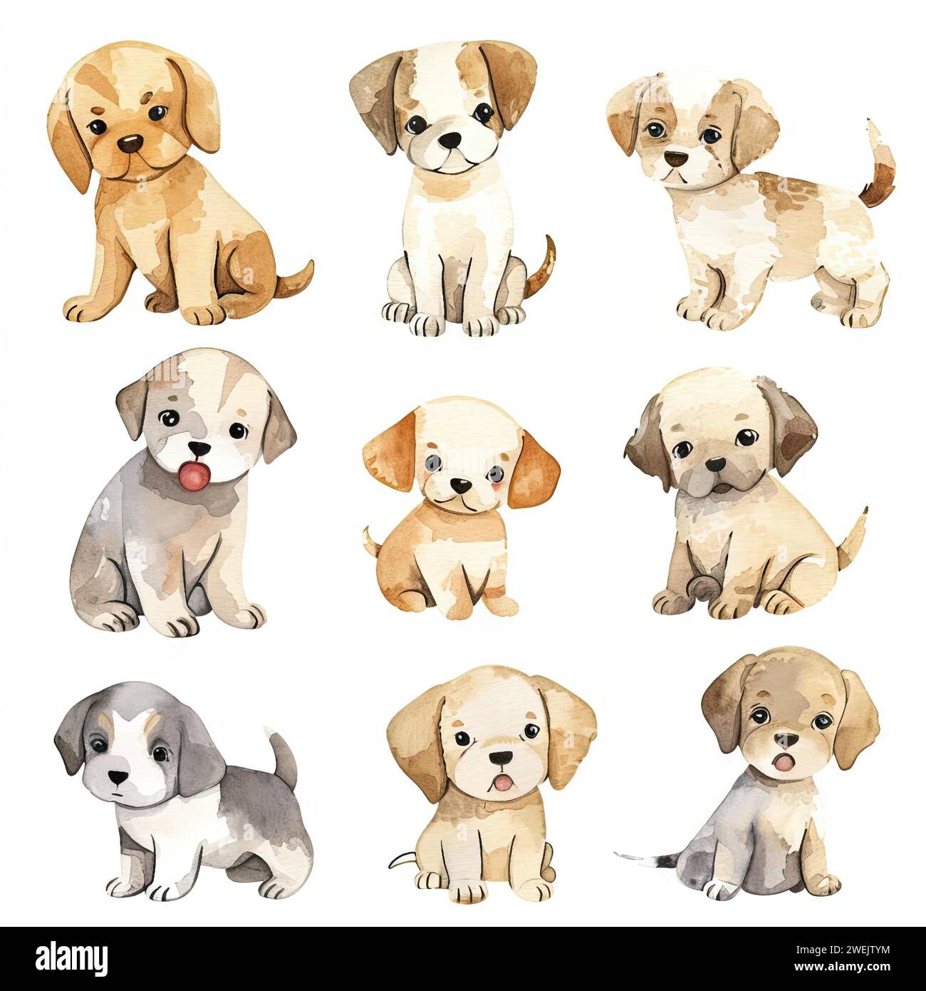 Vector hand drawn puppy collection Stock Vector Image & Art - Alamy