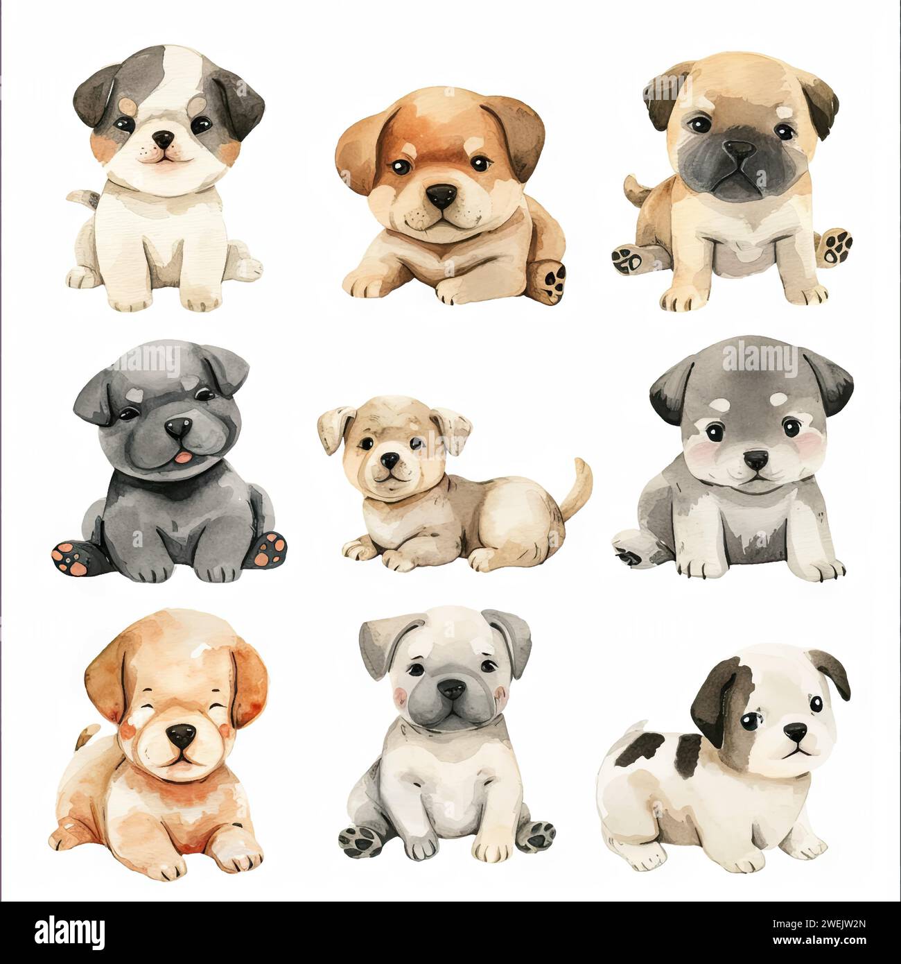 Vector hand drawn puppy collection Stock Vector Image & Art - Alamy
