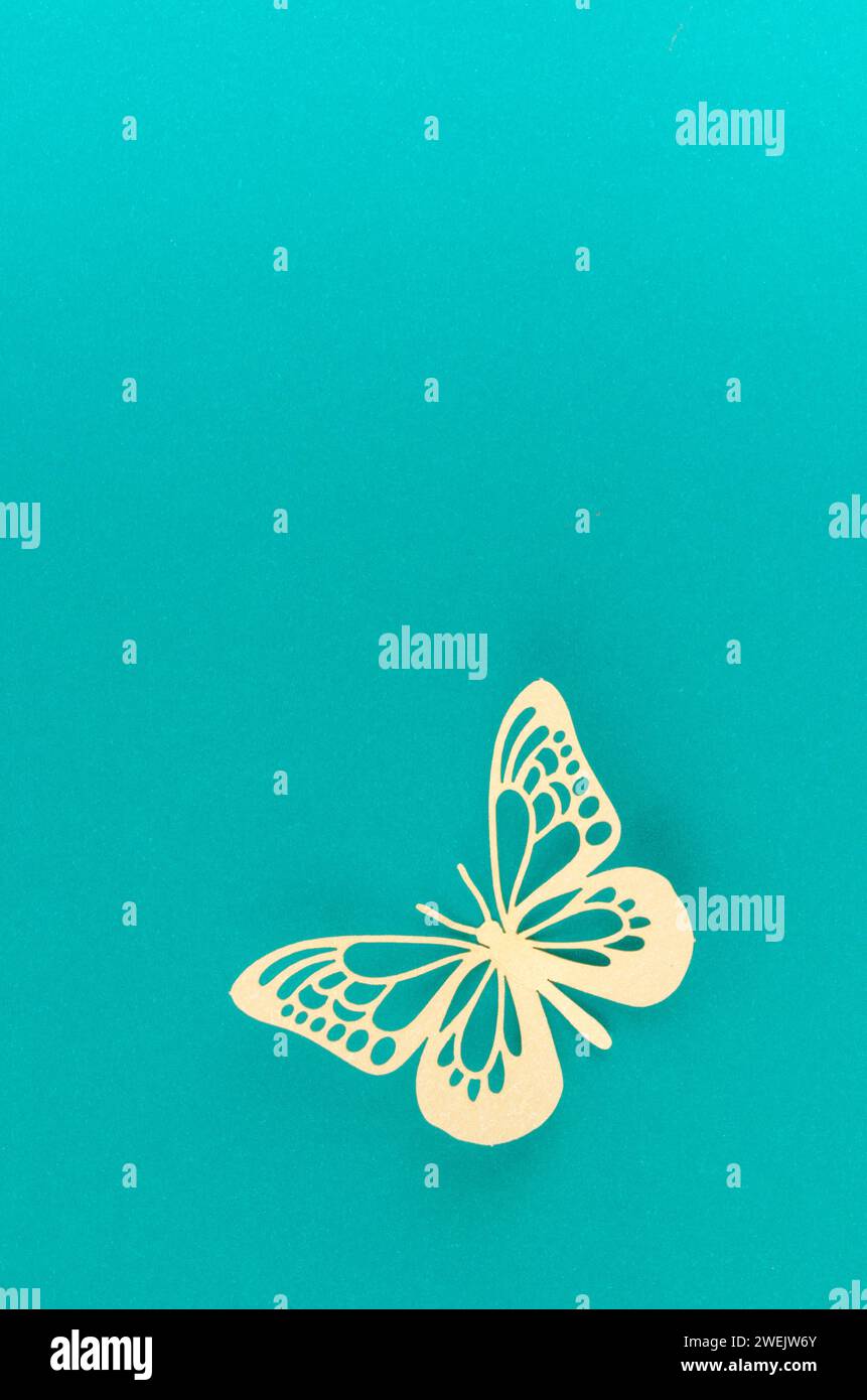 Paper butterfly carve on a green background, position with empty space ...
