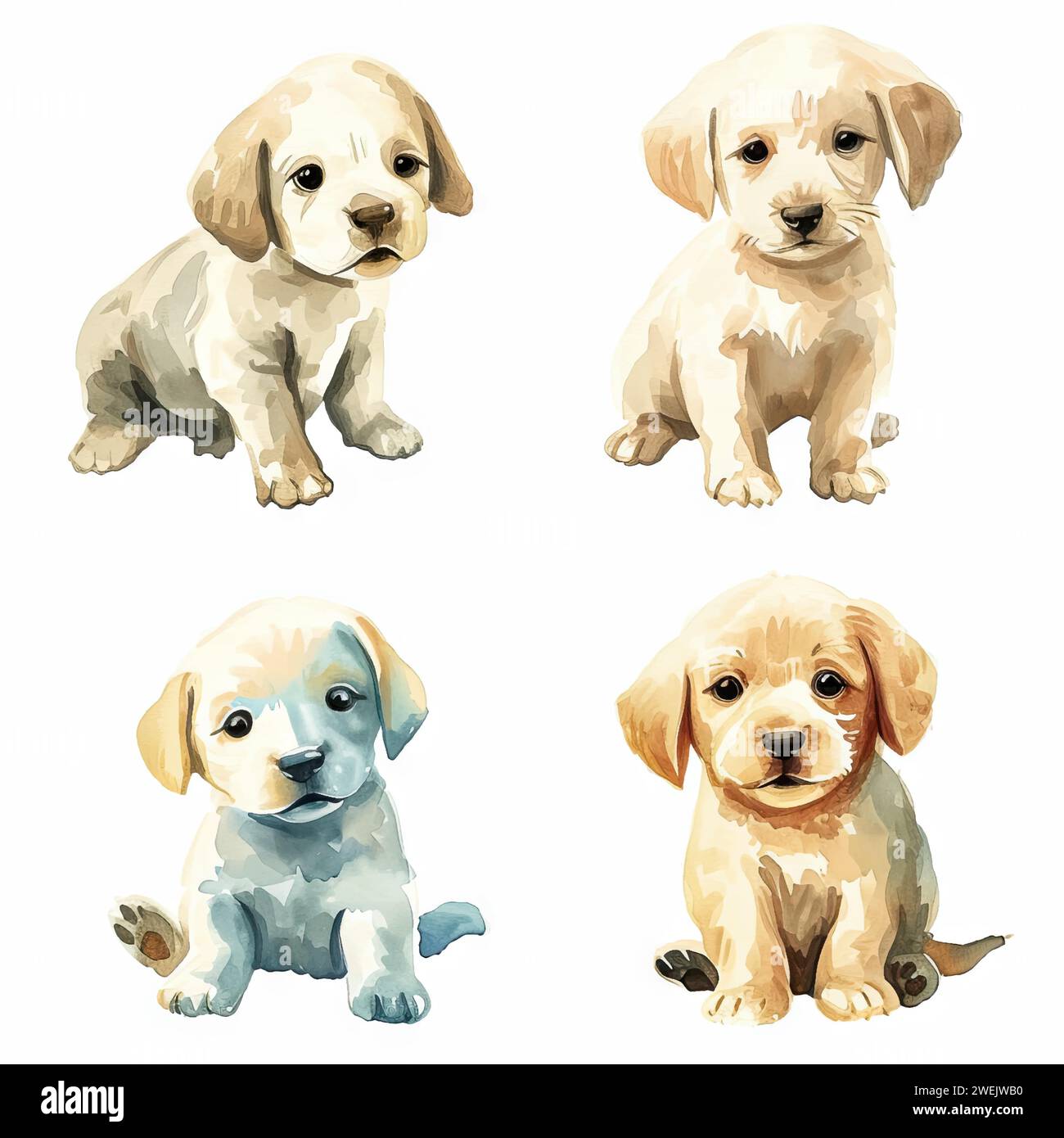 Vector hand drawn puppy collection Stock Vector Image & Art - Alamy