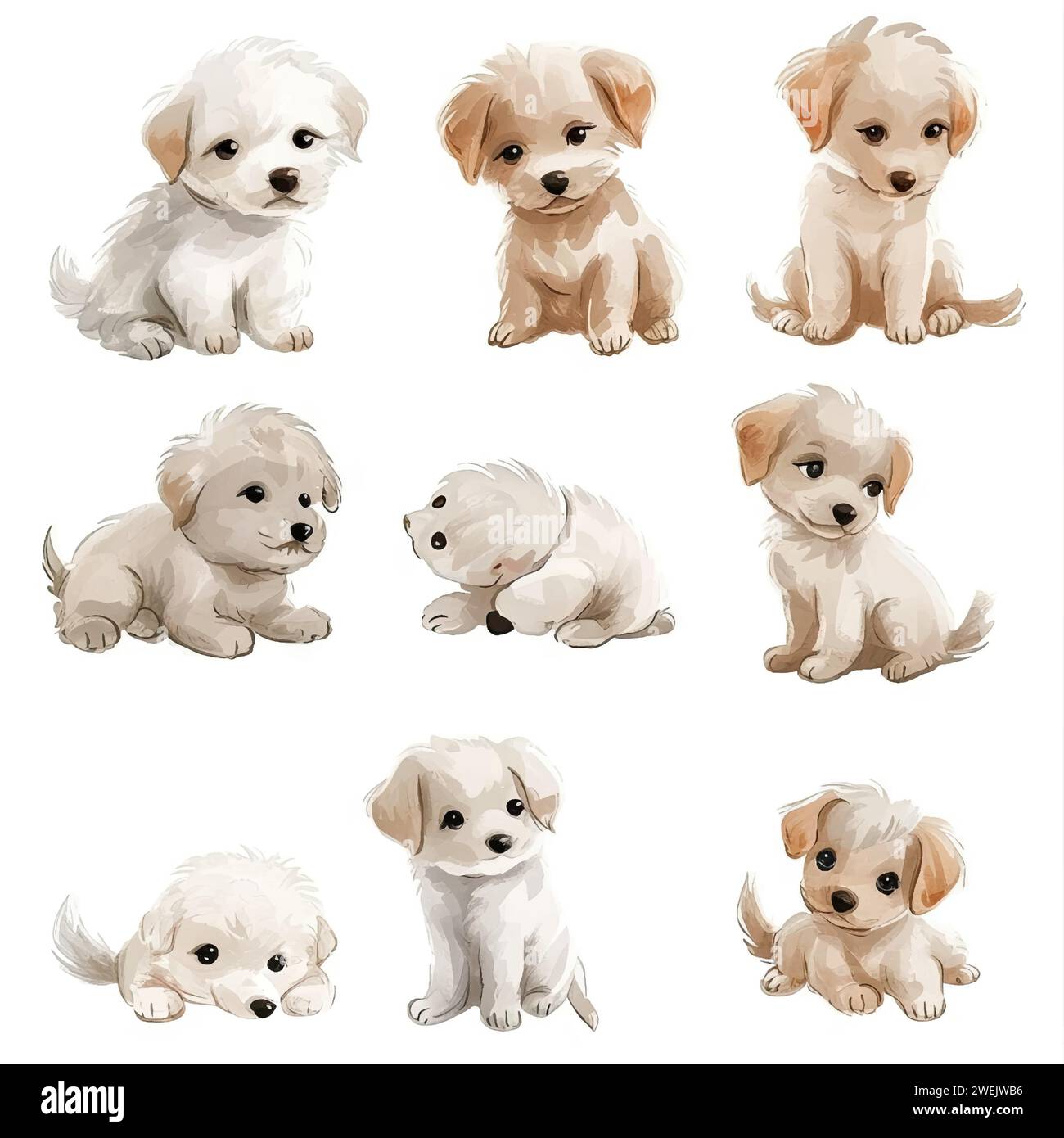 Vector hand drawn puppy collection Stock Vector Image & Art - Alamy