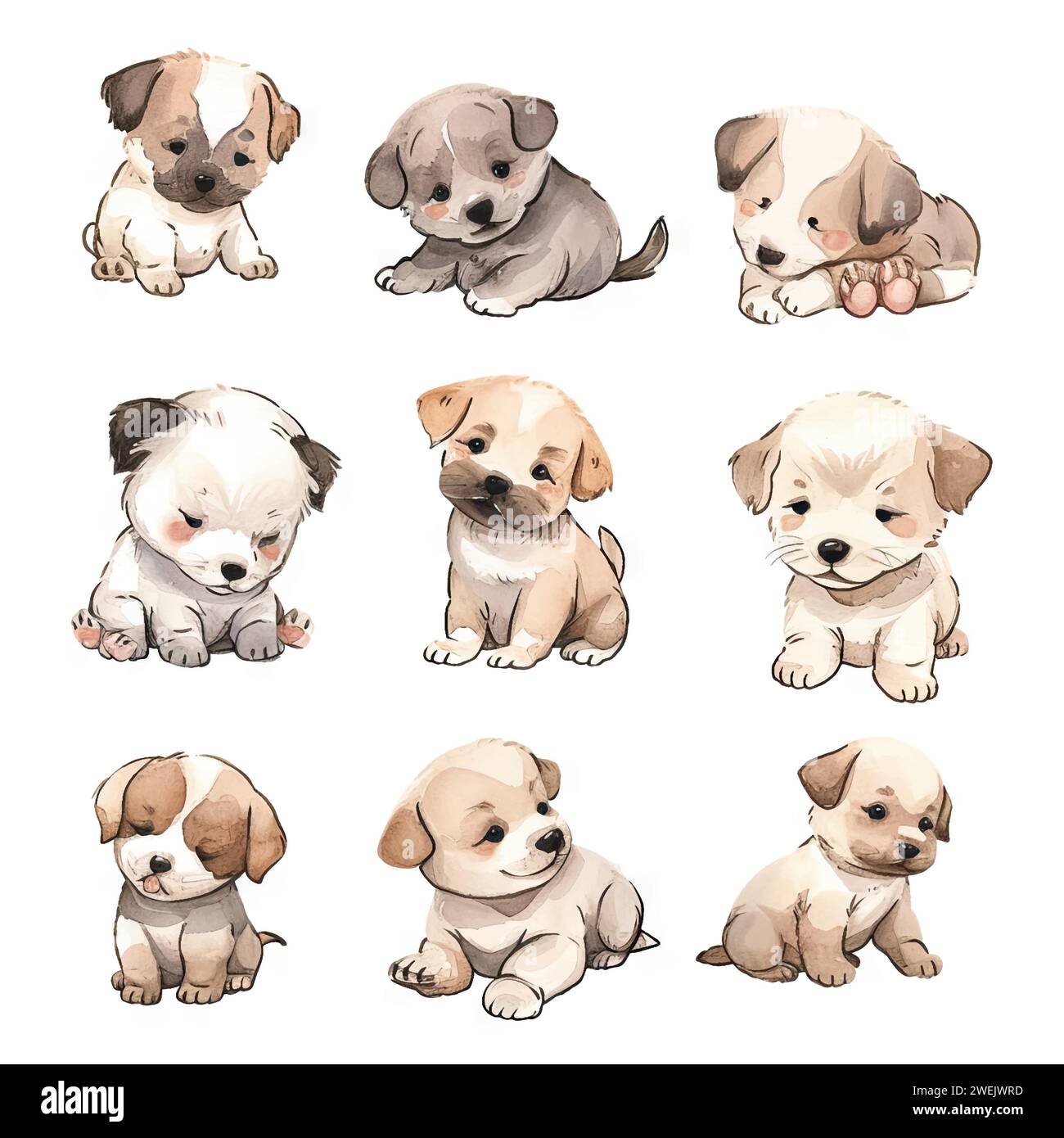 Vector hand drawn puppy collection Stock Vector Image & Art - Alamy