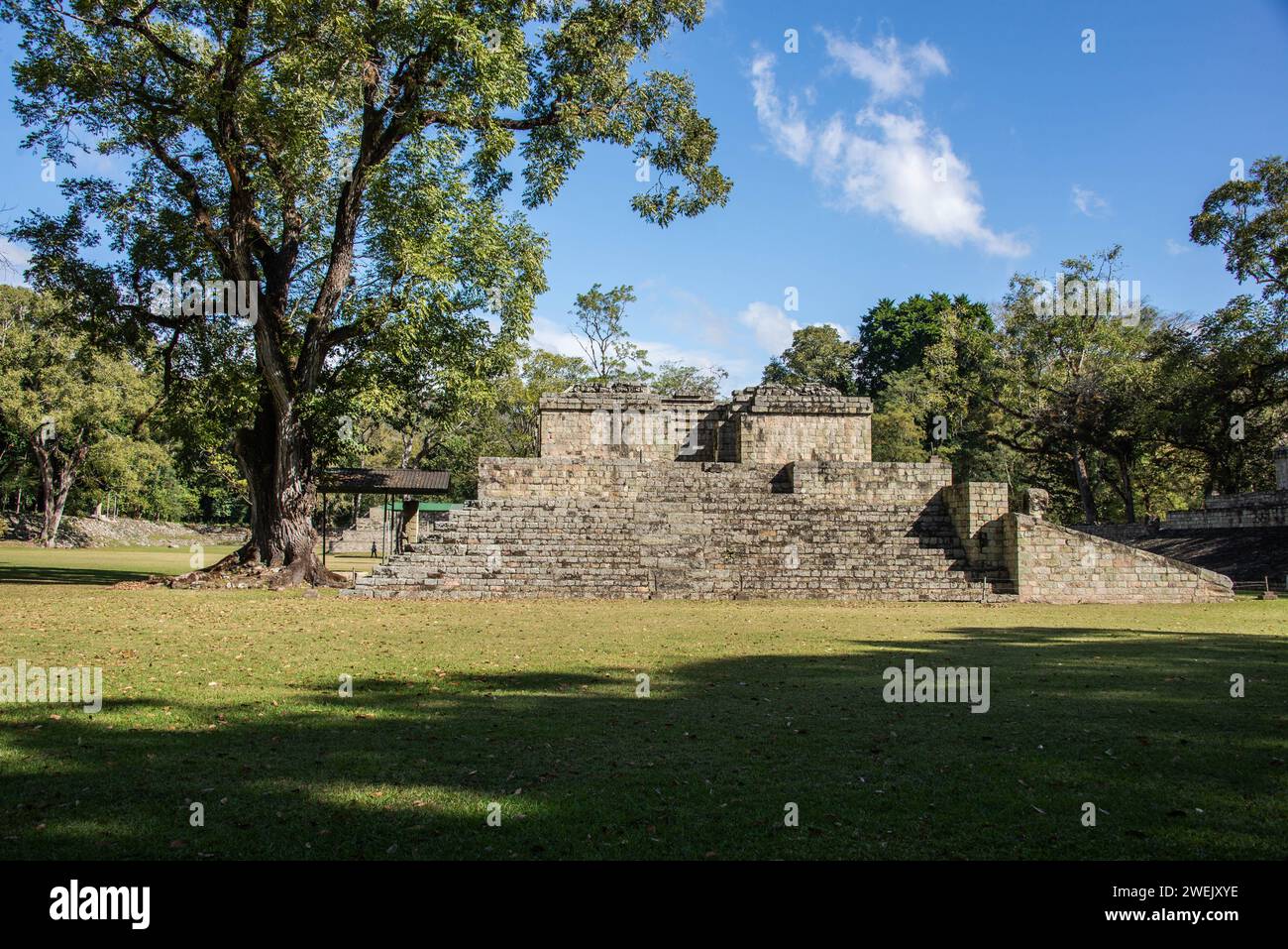 View of the Ball Court at the Copan Mayan Ruins, Copan Ruinas, Honduras ...