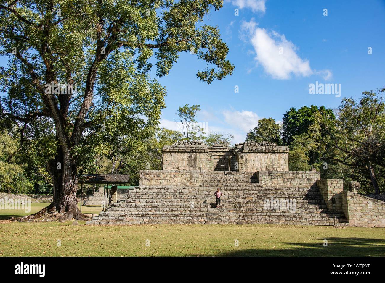 View of the Ball Court at the Copan Mayan Ruins, Copan Ruinas, Honduras ...
