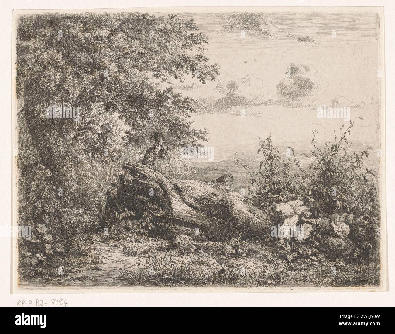 Fallen tree on the Bosrand, Pierre Louis Dubourcq, 1836 print paper ...