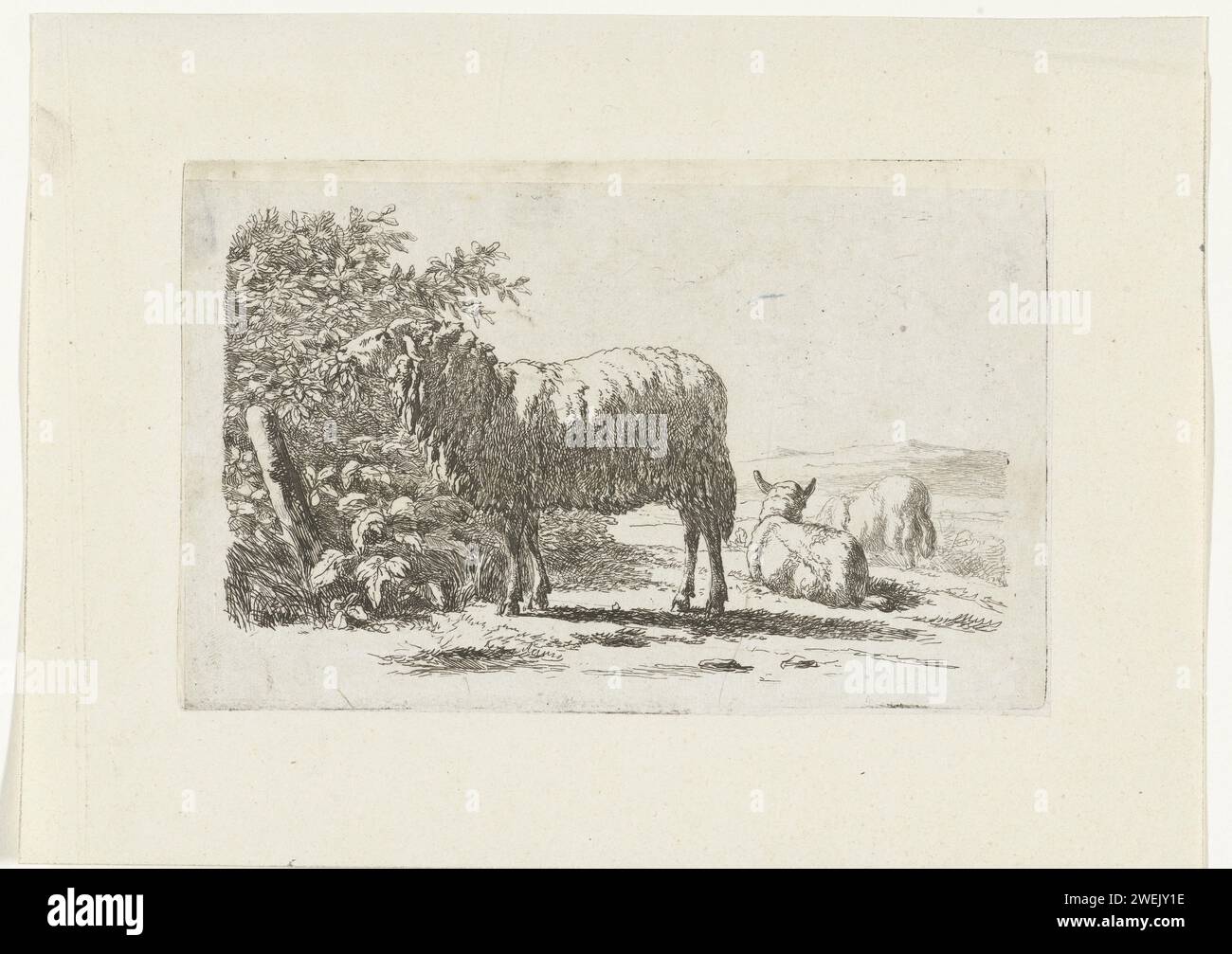 Landscape with three sheep, Simon van den Berg, 1822 - 1899 print paper ...