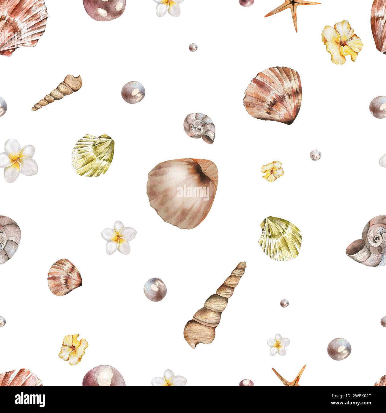 seamless pattern of Seashell and tropical flowers. watercolor ...