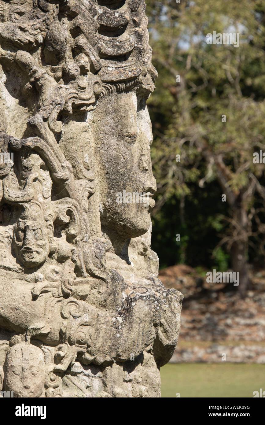 Stela B freestanding sculpture at the Copan Mayan Ruins, Copan Ruinas, Honduras Stock Photo - Alamy