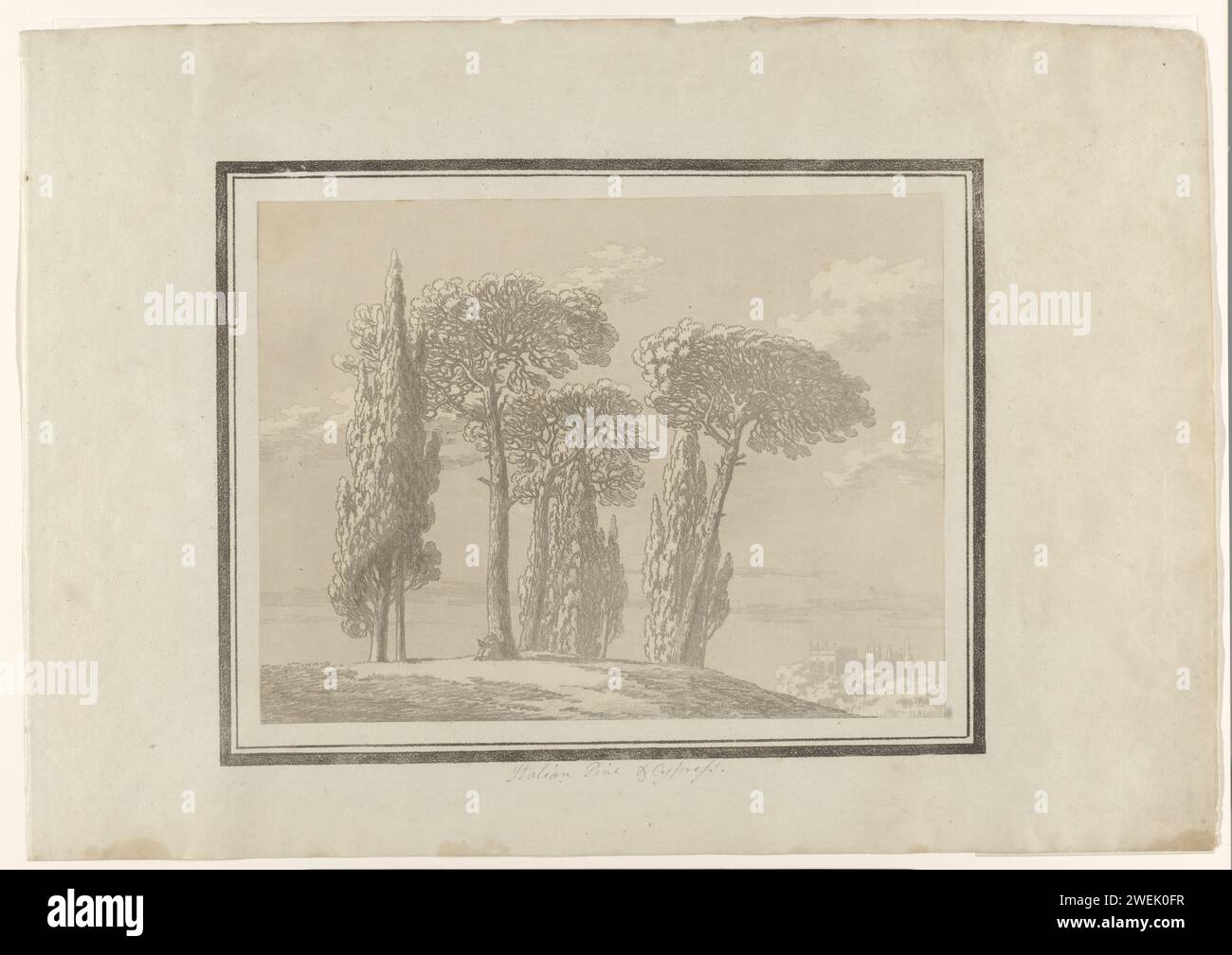 Italian Pine and Cypress, 1789 print Print from album in cassette with ...
