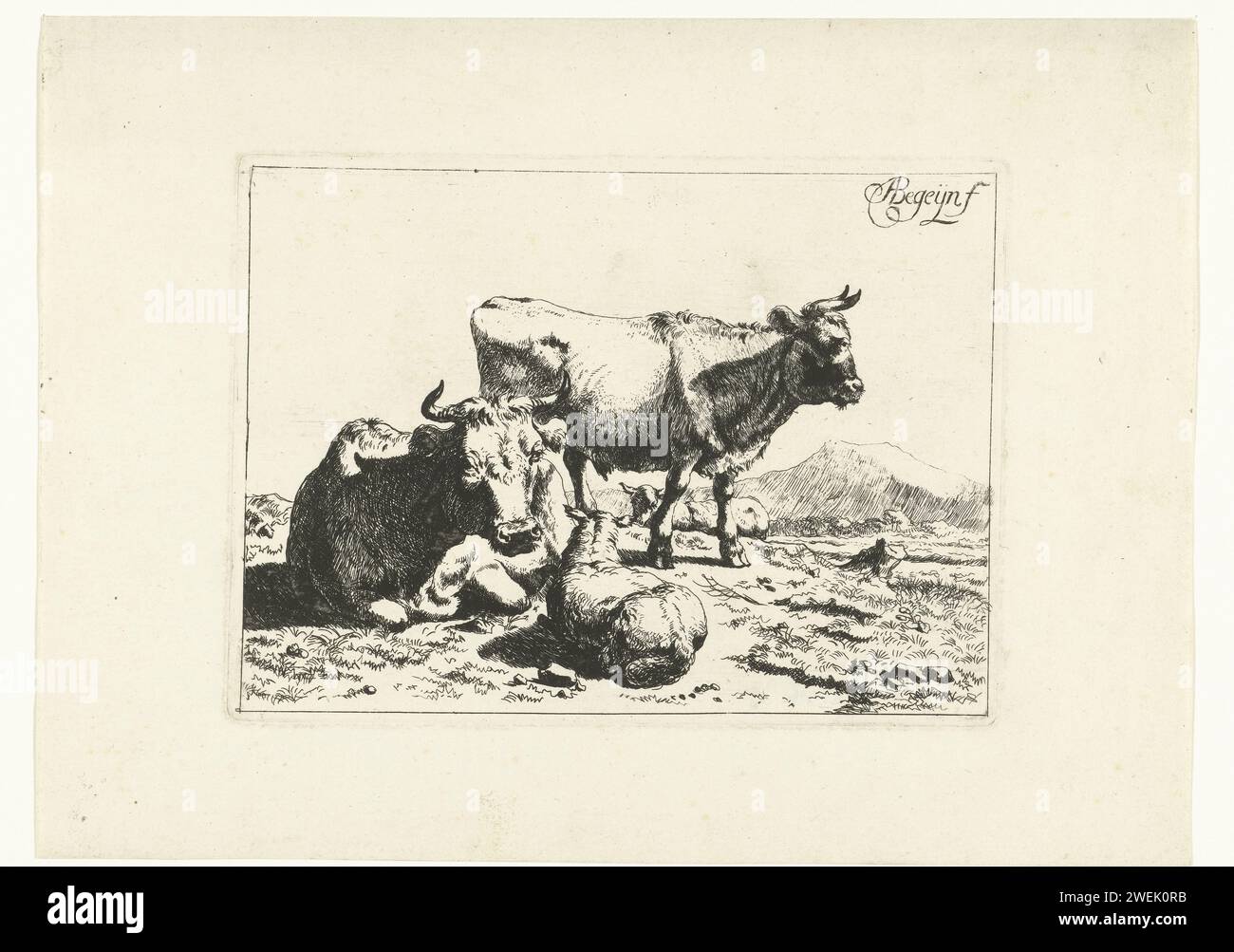Standing bull and lying cow with sheep, Abraham Jansz Begeyn, 1647 ...