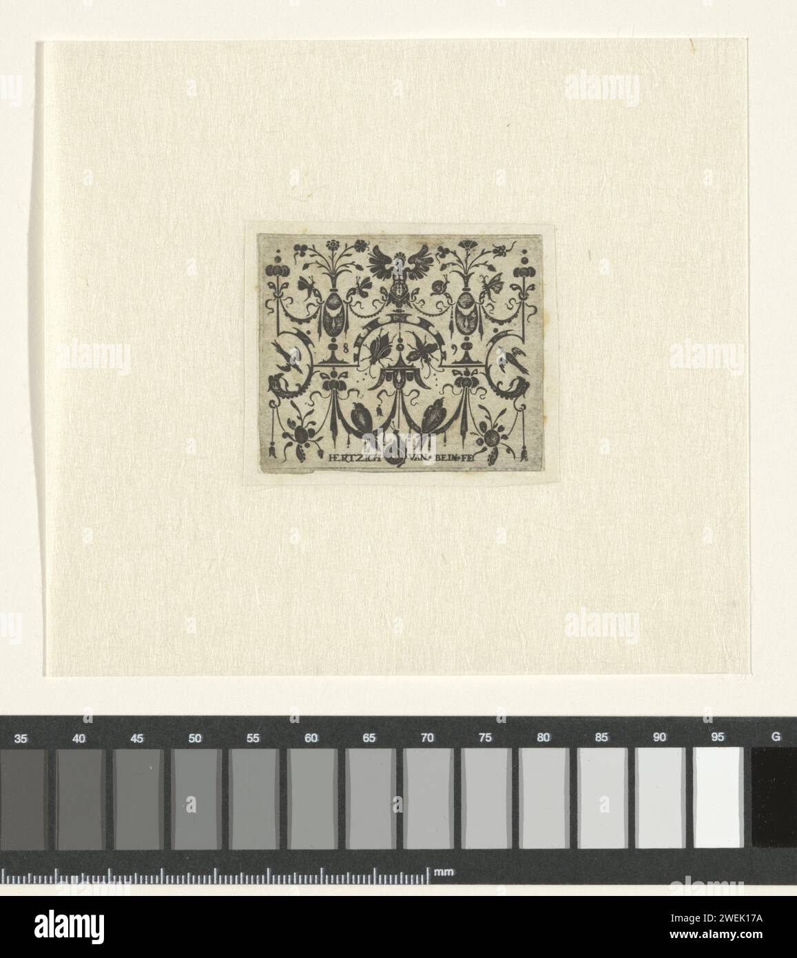 Snail forms hi-res stock photography and images - Alamy