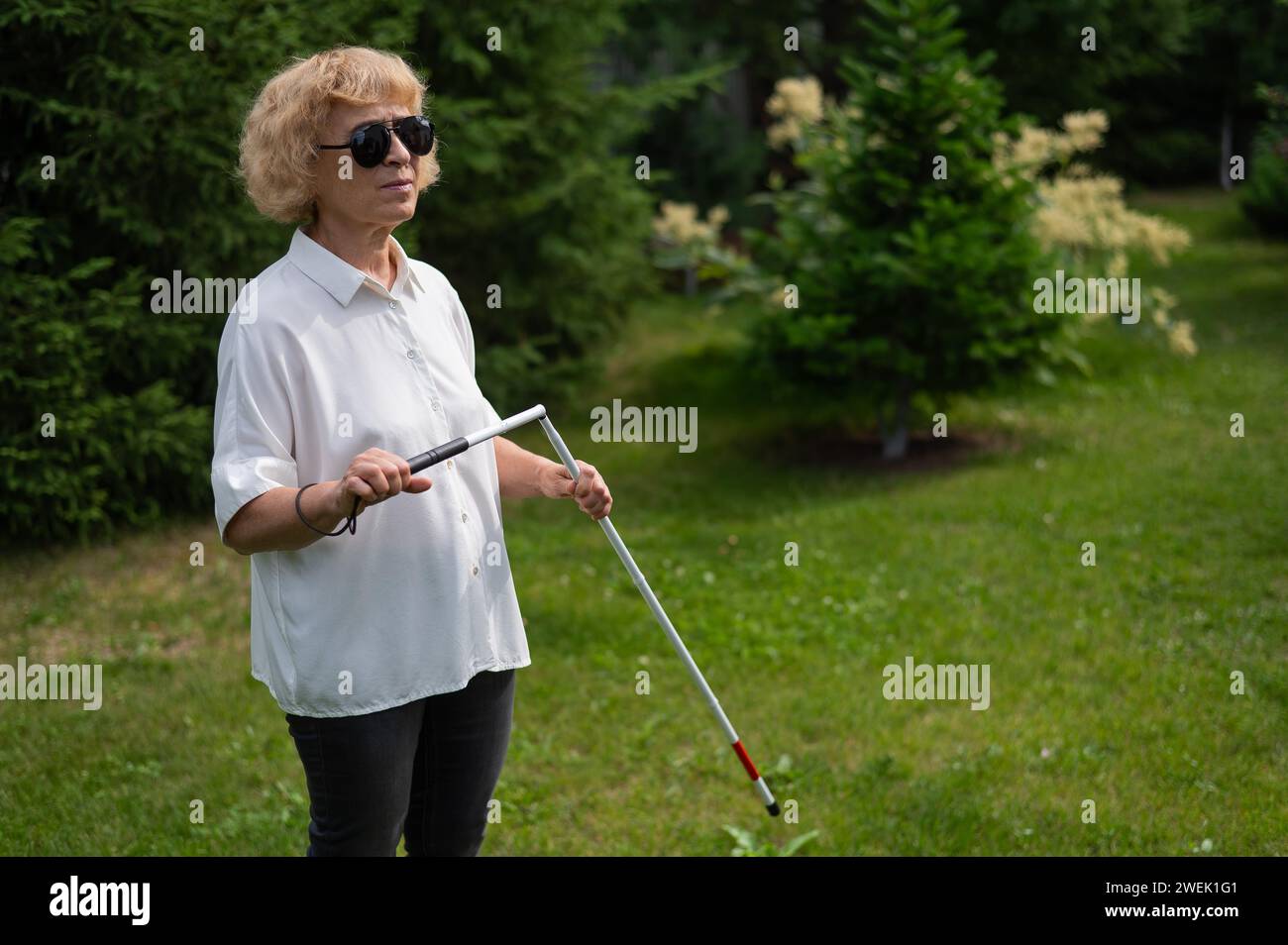 An elderly blind woman lays out a tactile cane while walking in the ...