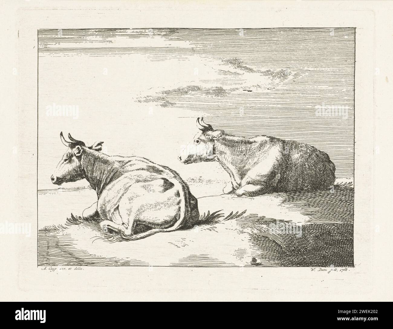 Two lying cows, Wouter Dam, After Aelbert Cuyp, 1768 print paper ...