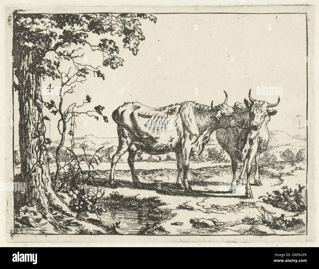 Two cows lick each other, Marcus de Bye, After Paulus Potter, 1728 - c ...