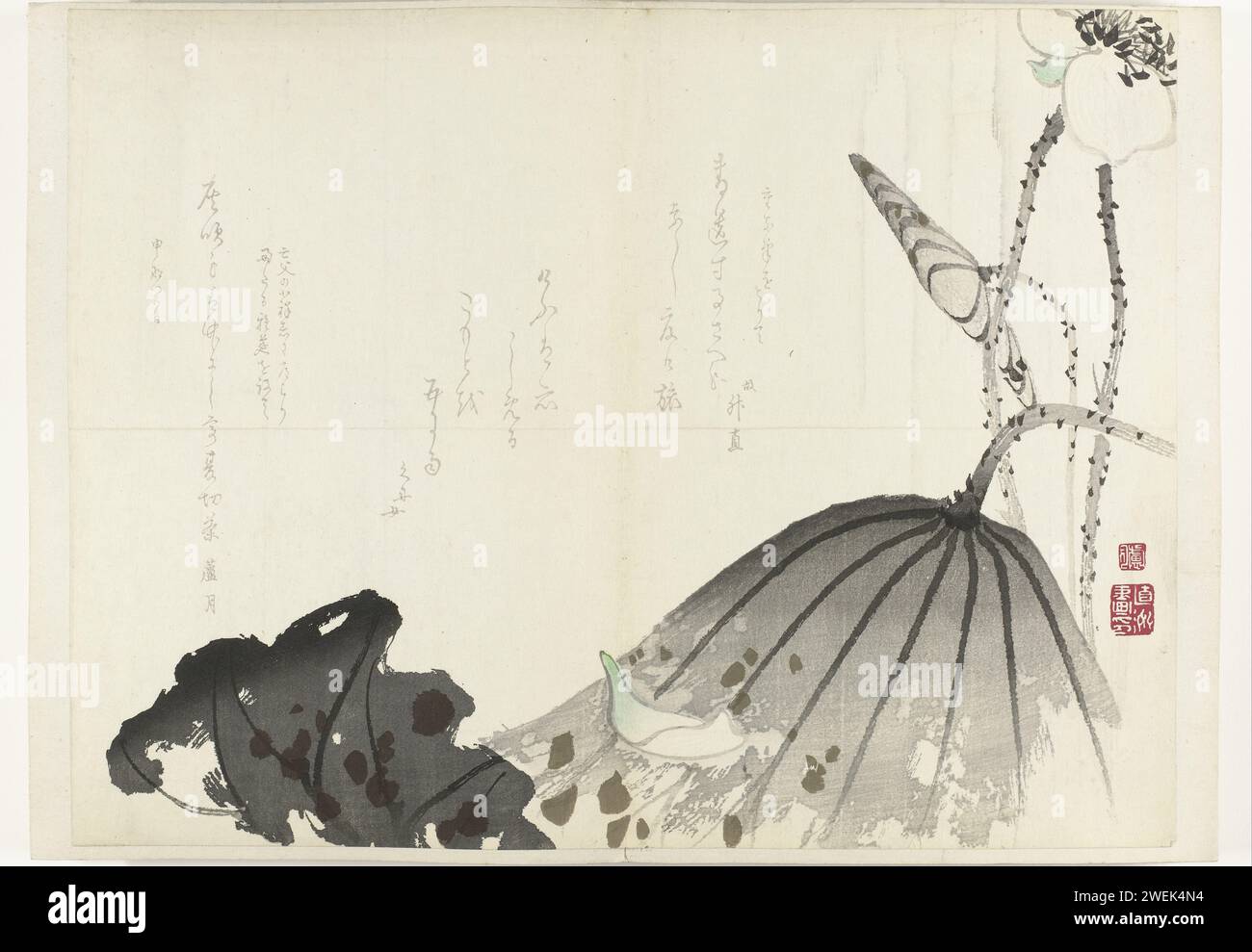 Lotusblad, Anonymous, 1840 - 1900 print Lelie / Lotus. From: album ...