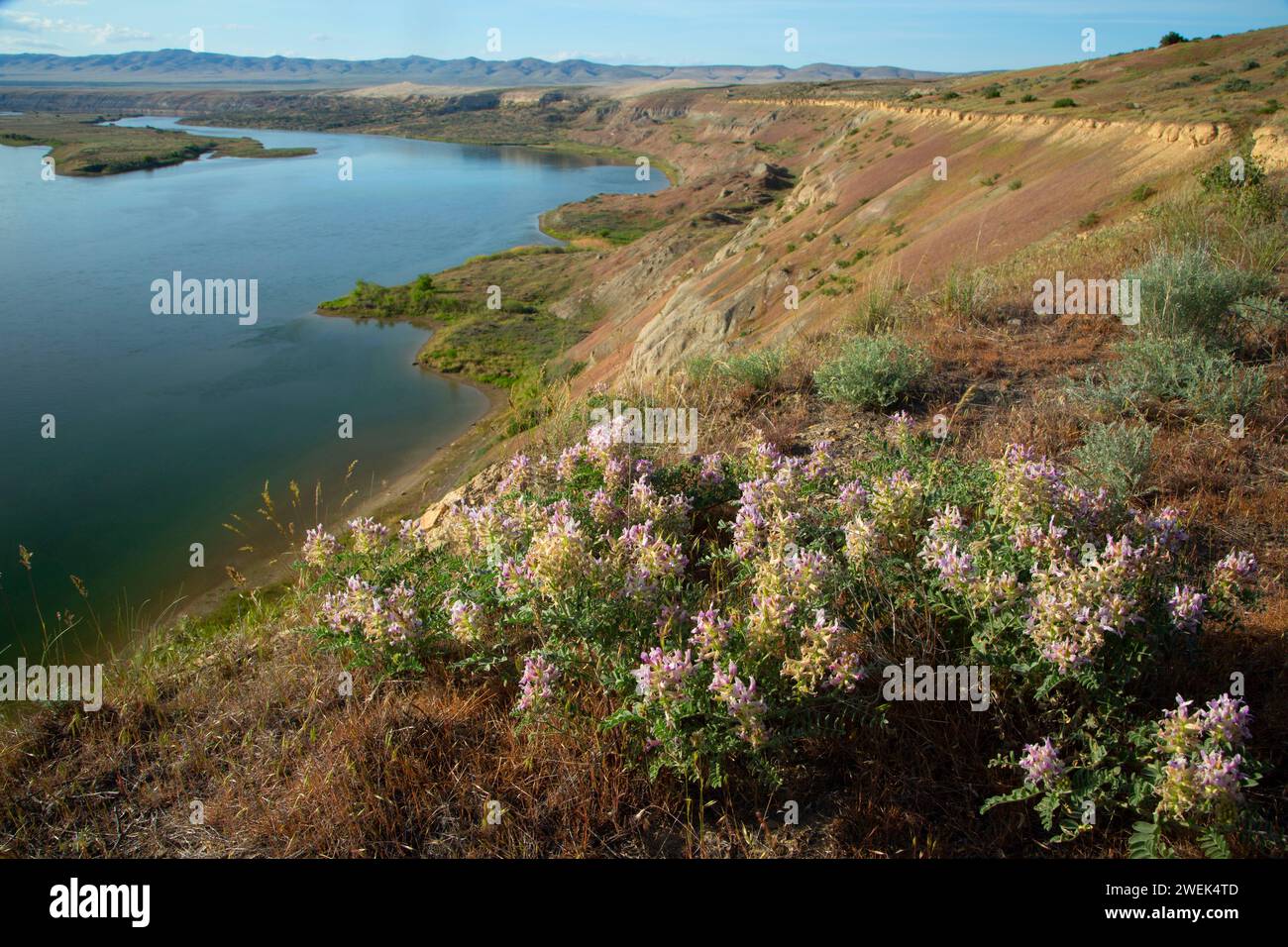 Columbia River at White Bluffs, Hanford Reach National Monument ...