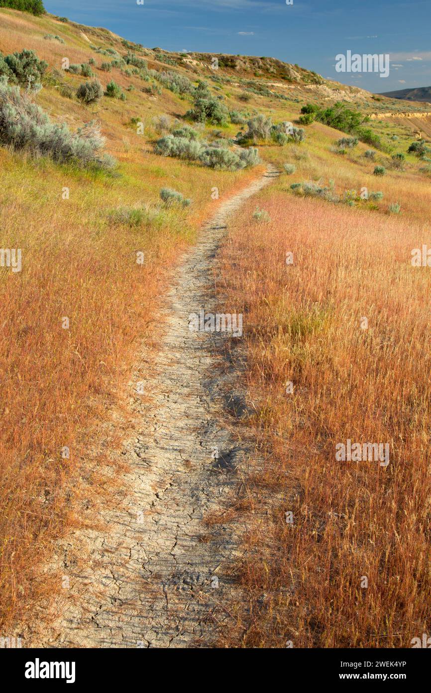 Trail at White Bluffs, Hanford Reach National Monument, Washington ...