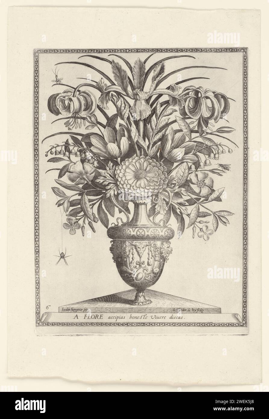 Polyptoton de Flore (The Variance of Flowers), c. 1600 print Ornamental ...