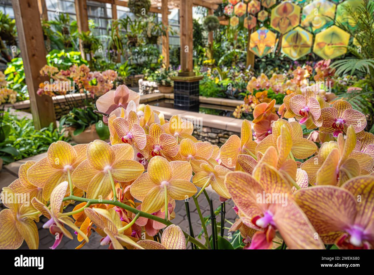 Fuqua conservatory and orchid center hi-res stock photography and images - Alamy