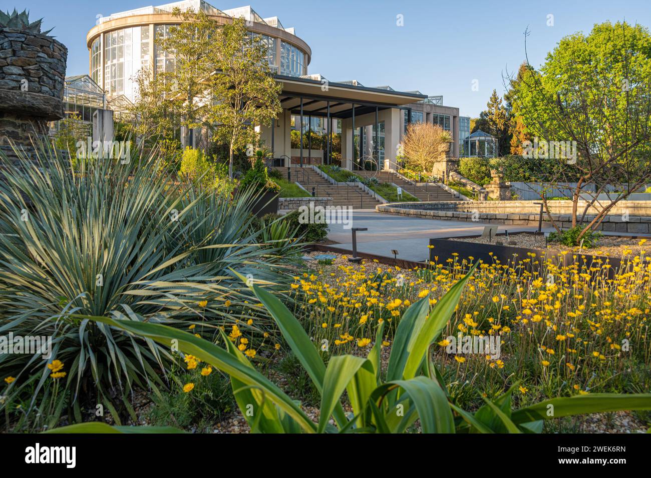 Dorothy chapman fuqua conservatory hi-res stock photography and images ...