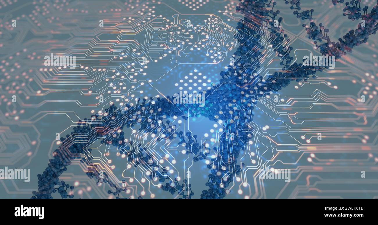 Image of dna strand over computer circuit board on blue background ...