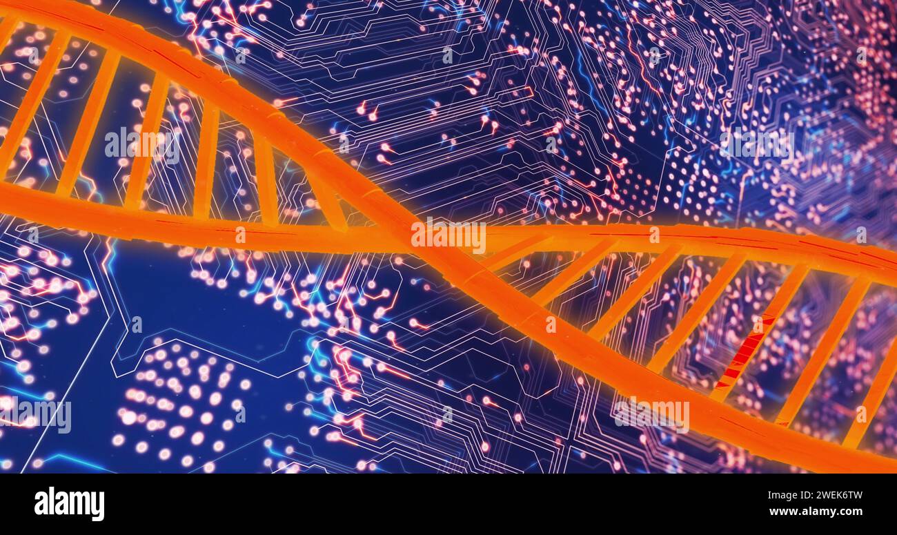 Animation dna strand computer circuit hi-res stock photography and ...