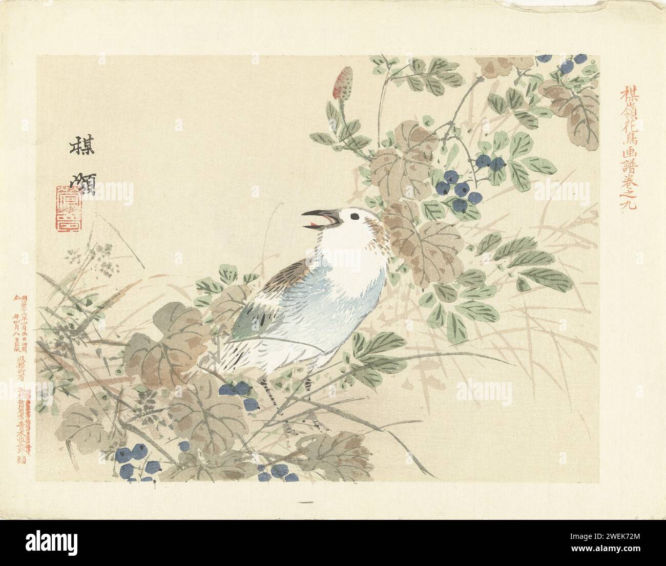 Song bird between autumn grasses, 1893 print Bird with white head and ...