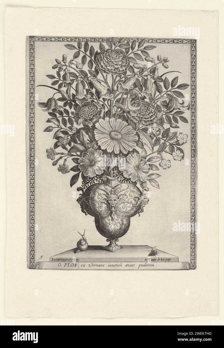 Polyptoton de flore hi-res stock photography and images - Alamy