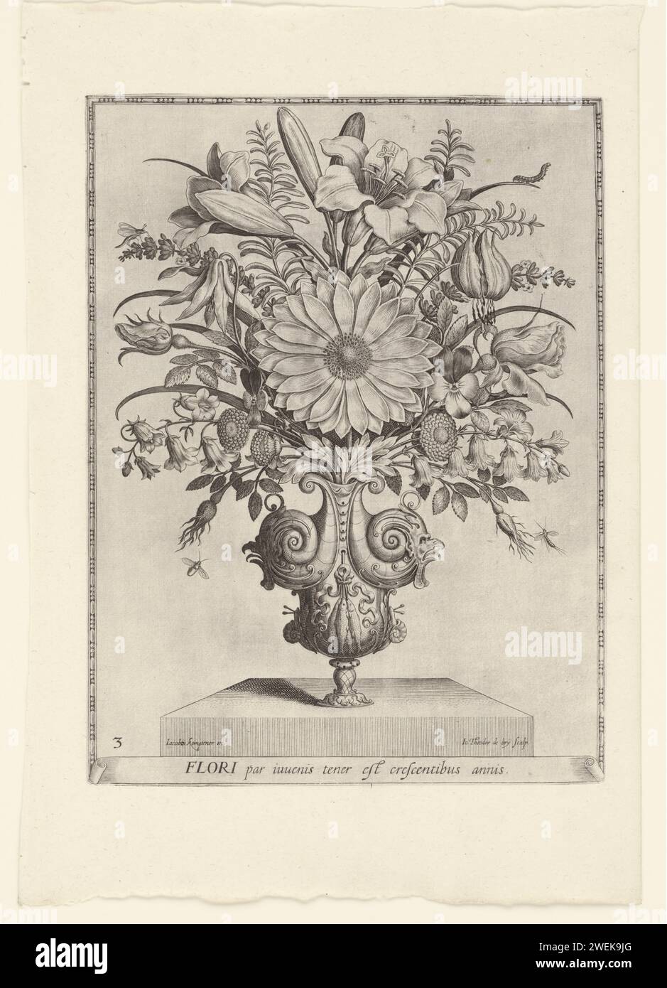 Polyptoton de flore hi-res stock photography and images - Alamy