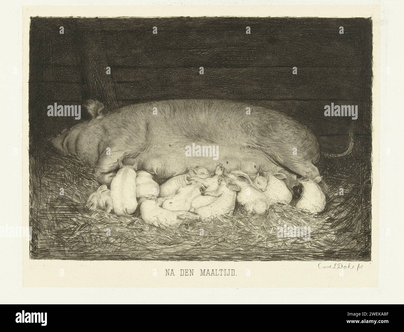 Sow with piglets lying in the stable, Carel Lodewijk Dake, 1867 - 1886 ...