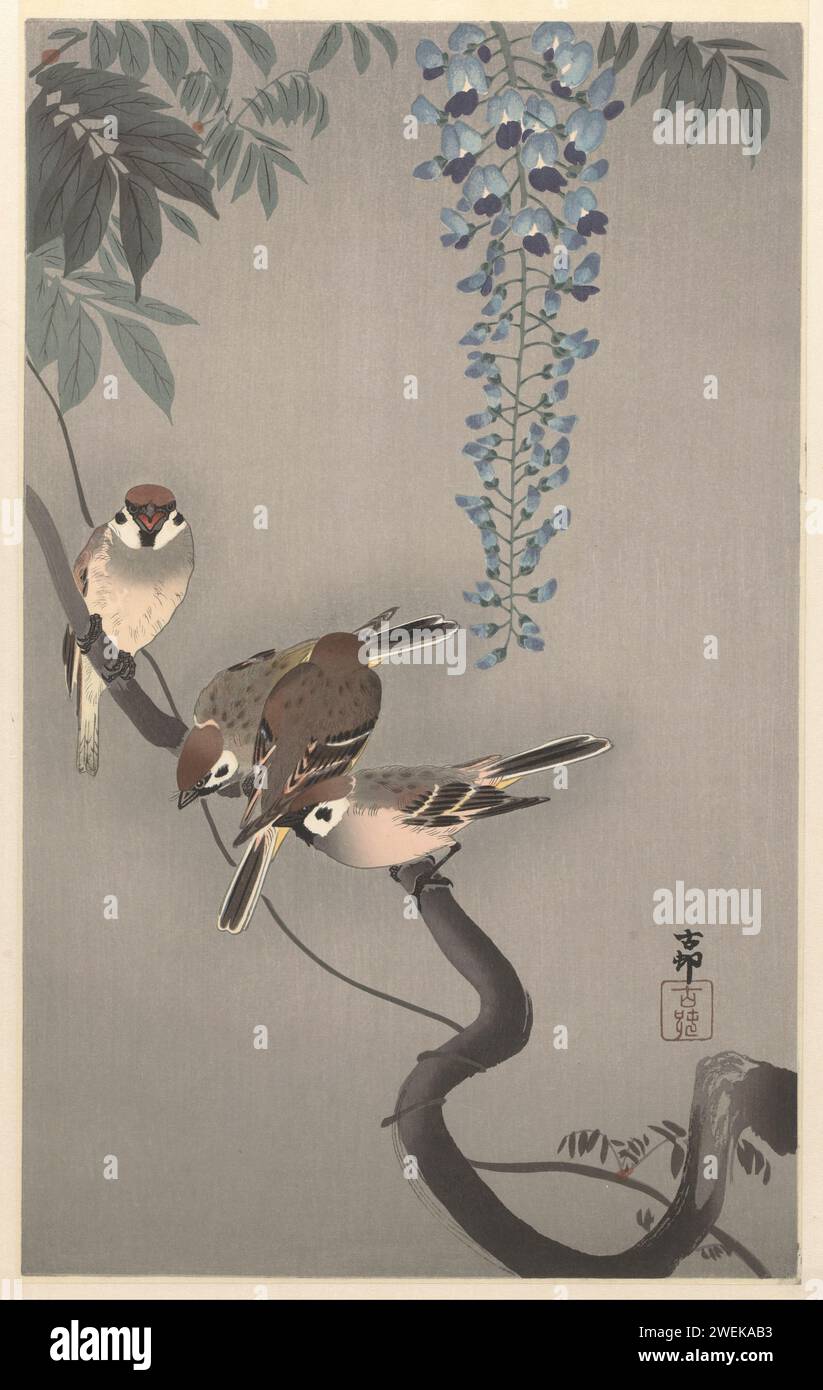 Ring sparrows at Wisteria, Ohara Koson, 1900 - 1936 print Four sparrows ...