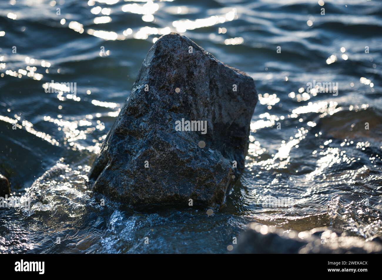 Serene aquatic environment hi-res stock photography and images - Alamy